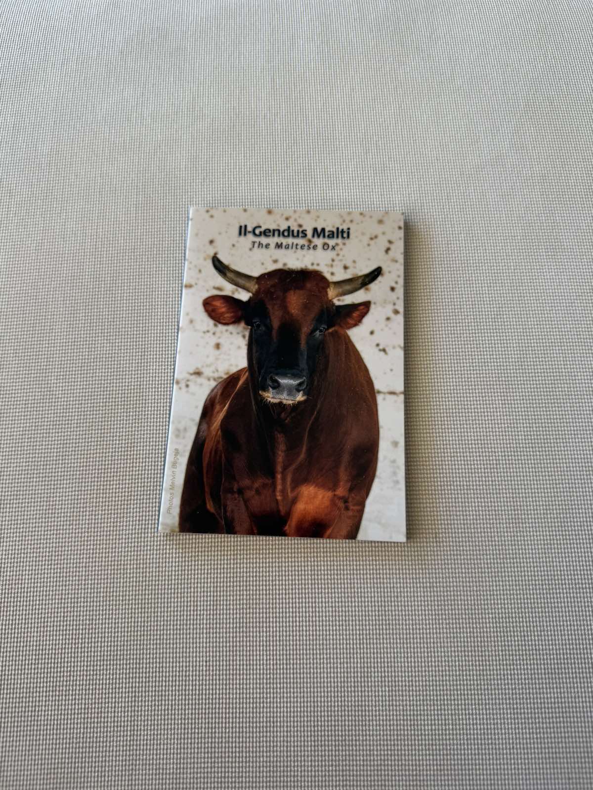 2025 (MT) - Indigenous Species: The Maltese Ox (coincard) - Euro Coin ...